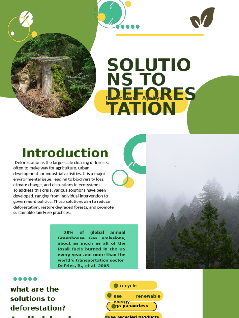Solutions to Combat Deforestation | PDF | Deforestation | Climate Change