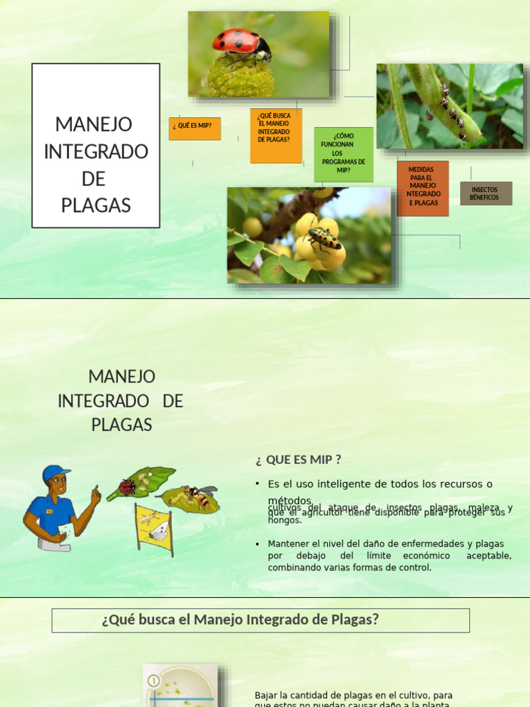 Manejo de Plagas | PDF | Control biológico de plagas | Plaga (organismo)