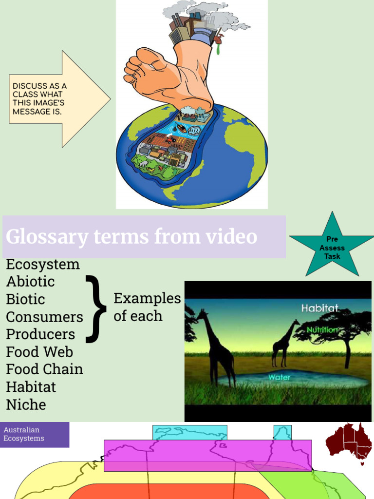 Biological Systems-Ecosystems | PDF | Food Web | Symbiosis
