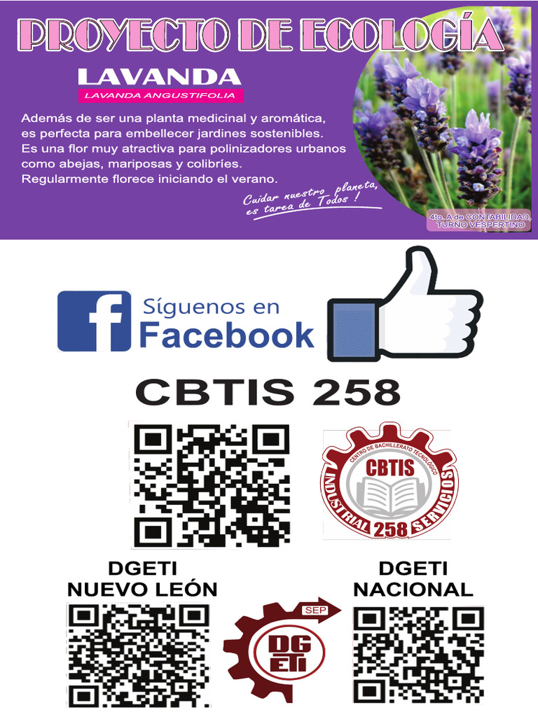 Letrero Lavanda | PDF