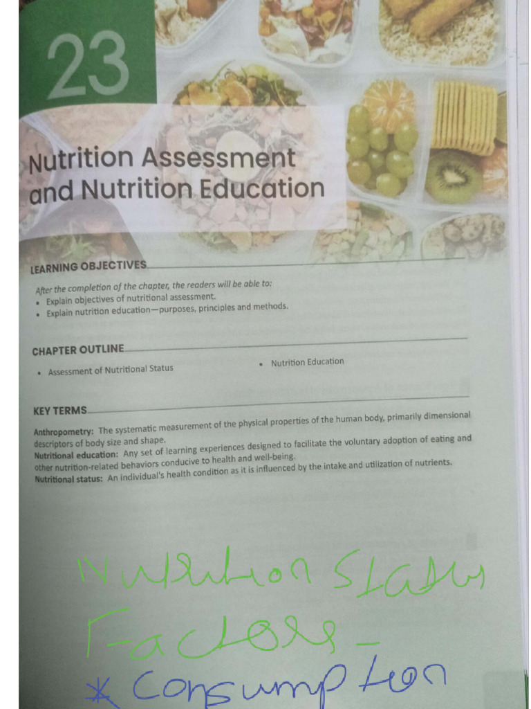 Betty Neuman System Model..of Nursing | PDF