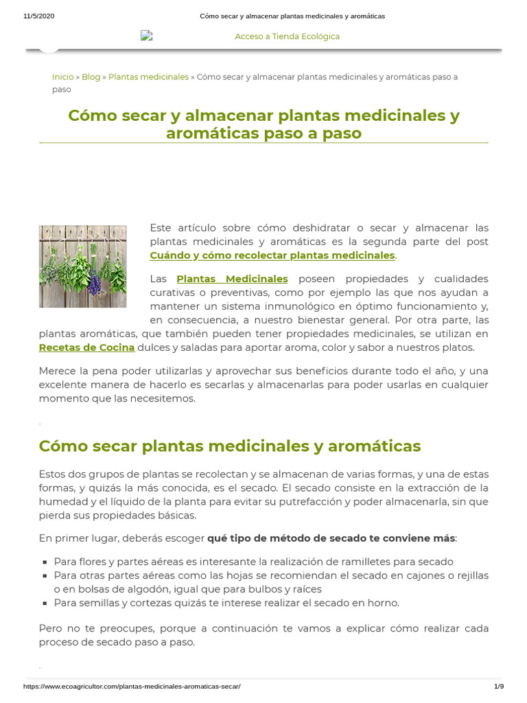 Cómo Secar Plantas Medicinales Y Aromáticas Pdf Té Plantas