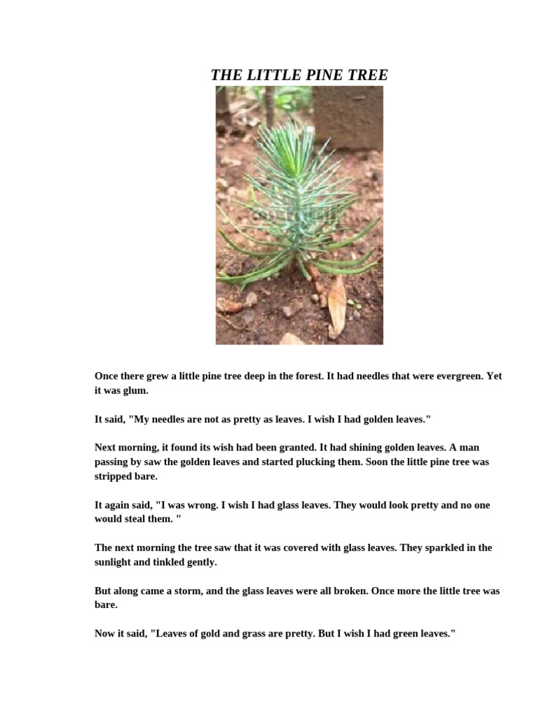 The Little Pine Tree's Wishes | PDF