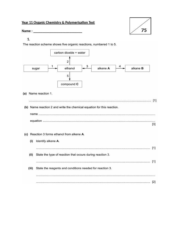 Year 11 Organic Chemistry Test | PDF