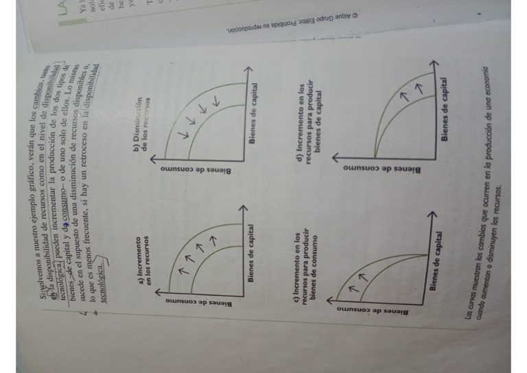 Distintas Curvas | PDF