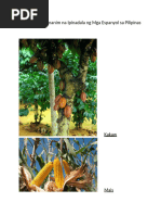 Fruits in PH | PDF