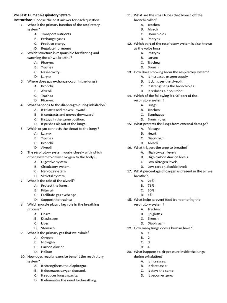 Human Respiratory System Quiz | PDF | Respiratory System | Respiratory ...