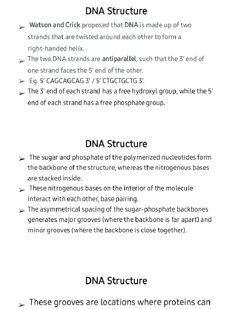 DNA Rep and RNA Structure (1) - Phoenix | PDF