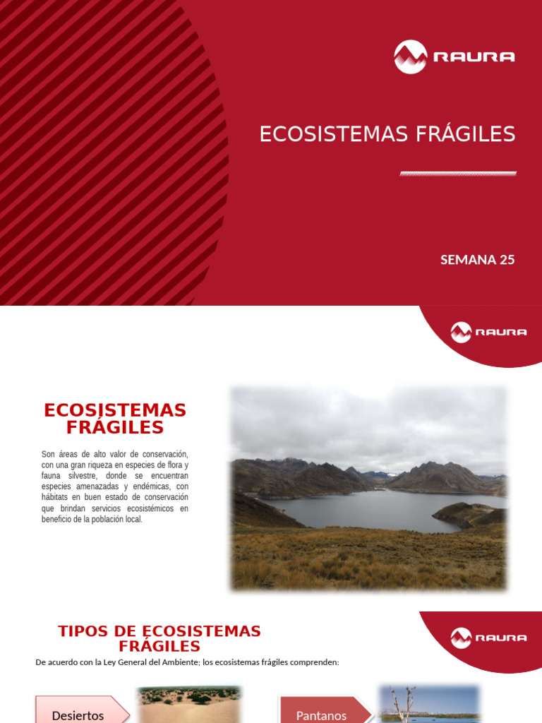 Sem 25 - Ecosistemas Fragiles | PDF | Agua | Ecosistema
