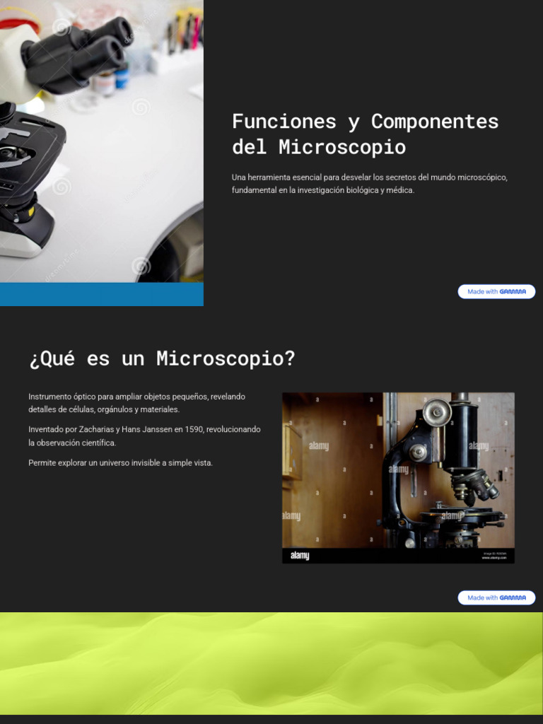 Funciones y Componentes Del Microscopio | PDF