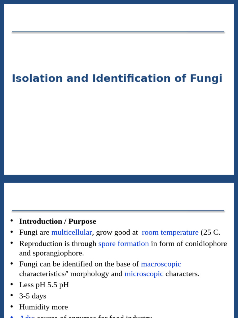 Fungi - Identification | PDF | Fungus | Biology