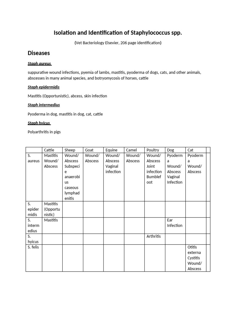 Isolation and Identification of Staphylococcus | PDF | Staphylococcus | Staphylococcus Aureus