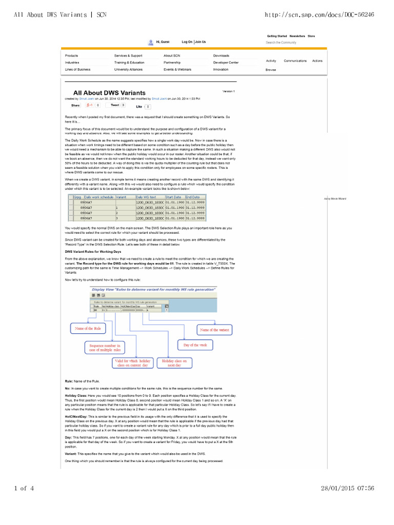 All About DWS Variants - SCN | PDF