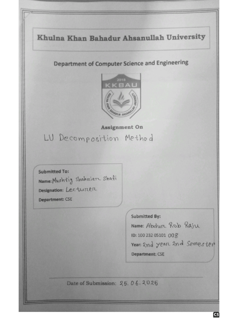 Numerical Assignment | PDF