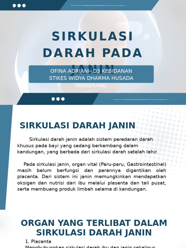 Sirkulasi Darah Janin | PDF