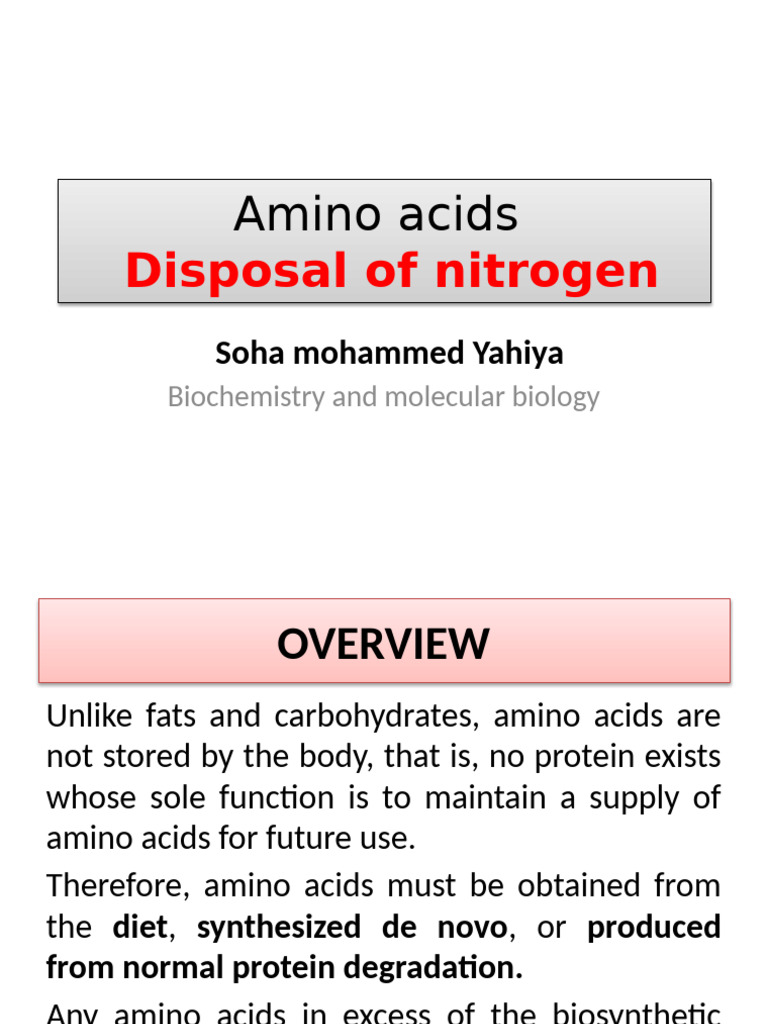 Lec 2 Disposal of Nitrogen | PDF | Transaminase | Ubiquitin