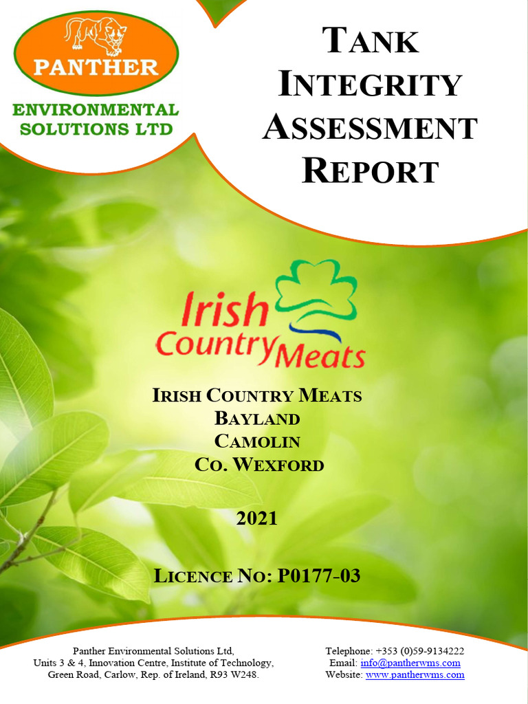 Tank Integrity Assessment Report 2021 | PDF | Pipe (Fluid Conveyance ...