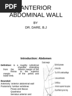 6 - Pelvic Rocking Exercises | PDF | Pelvis | Abdomen