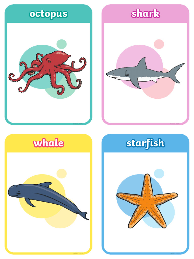 ESL Under The Sea Flashcards | PDF
