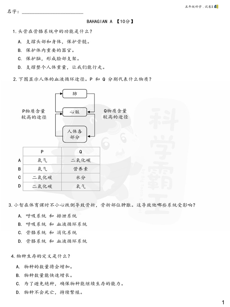 5S P1 | PDF