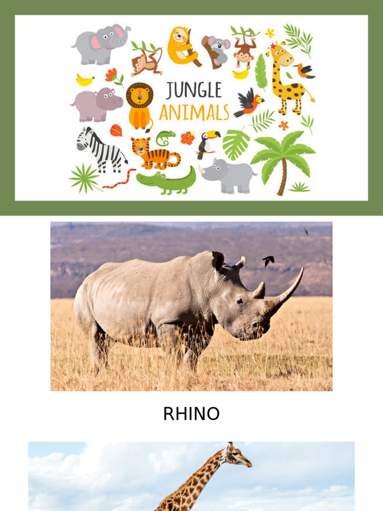 Jungle Animals | PDF