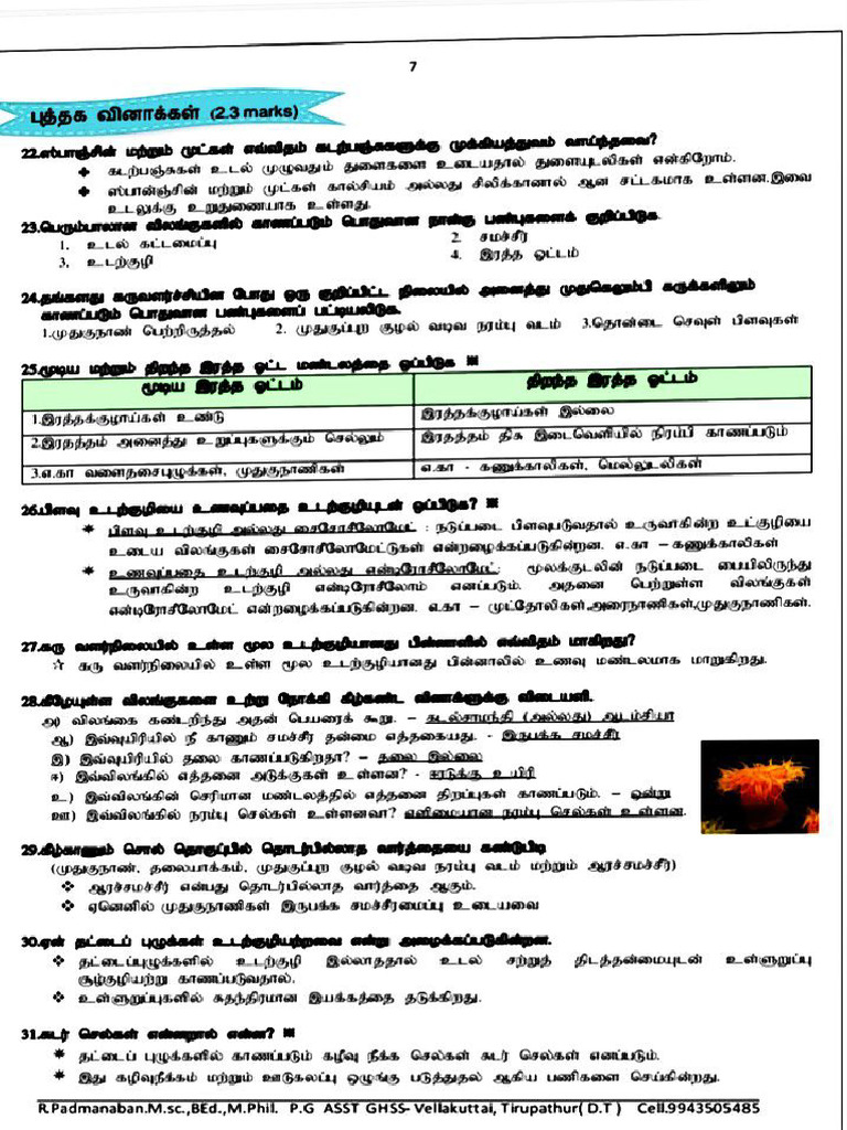 PDFReader 20250707 0624 | PDF