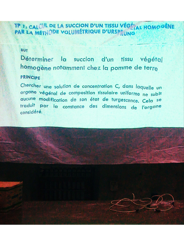 TP de PHYV L2 Correction | PDF