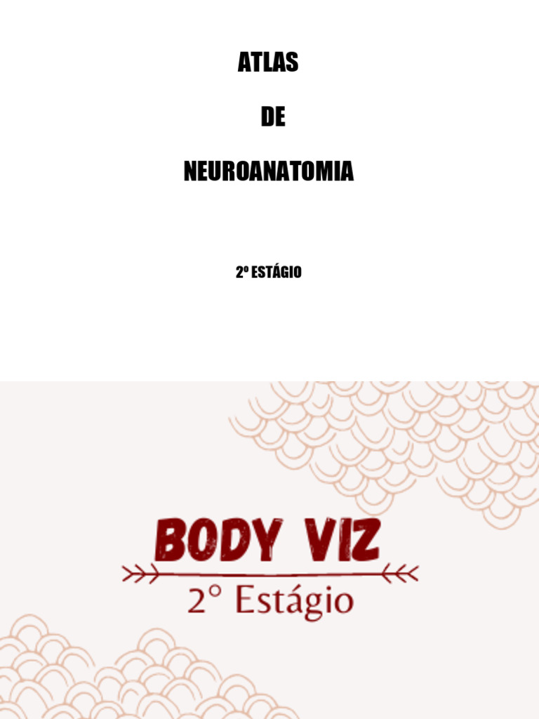 Atlas de Neuroanatomia: Estruturas e Irrigações | PDF | Medula espinhal ...