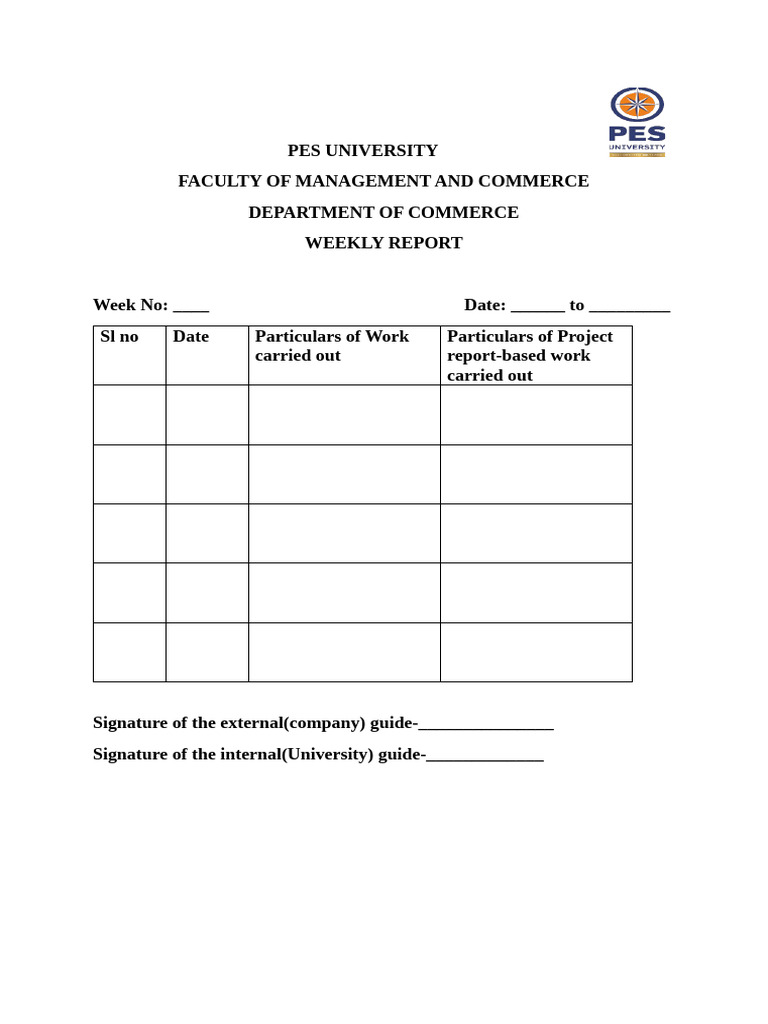 Weekly Report Format | PDF