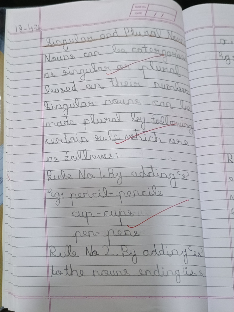 Singular and Plural Nouns Notes in Eng Lang | PDF
