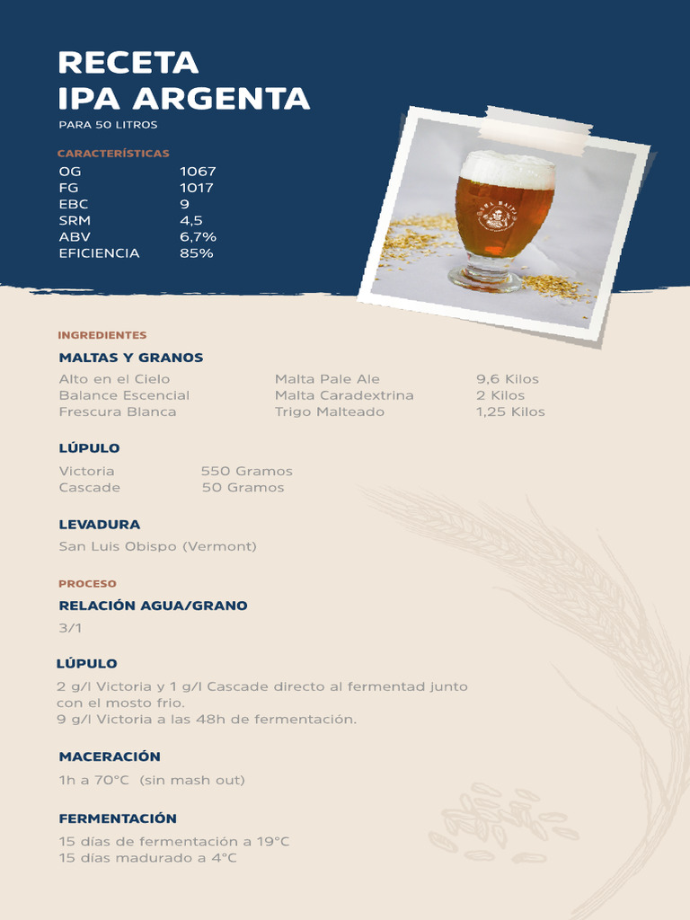 Receta - IPA Argenta | PDF