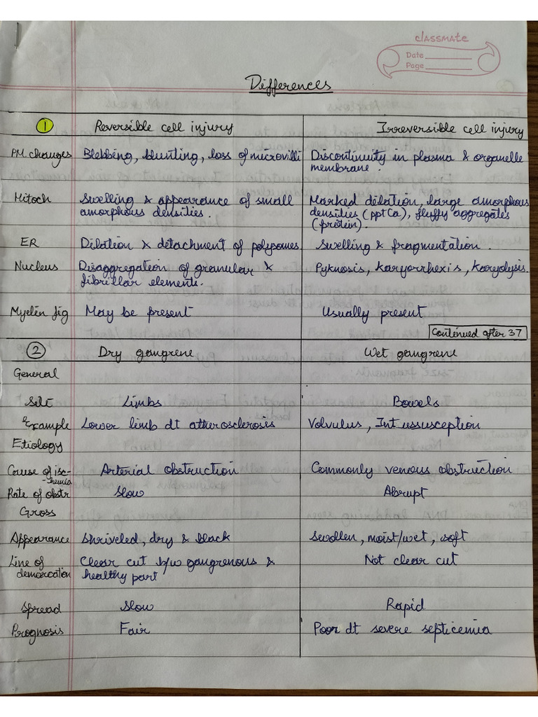 Path Diff Paper1 | PDF