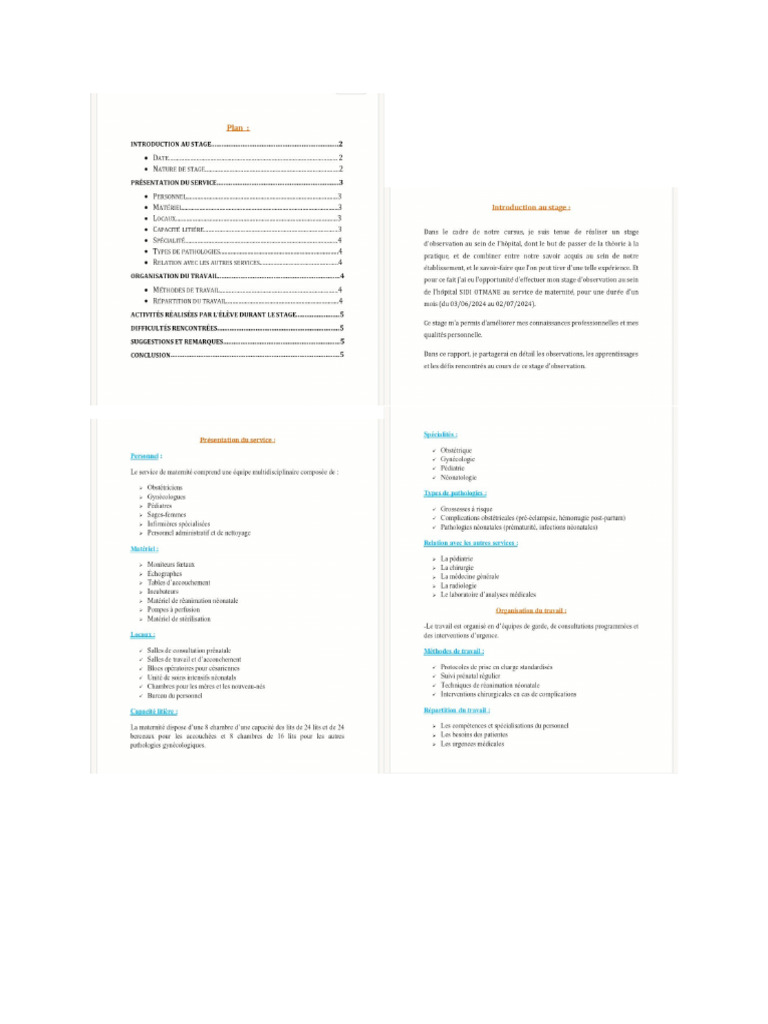 Document (3) WPS Office | PDF