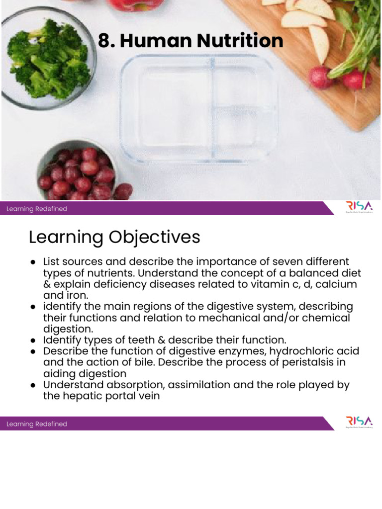 Understanding Human Nutrition Basics | PDF | Digestion | Small Intestine