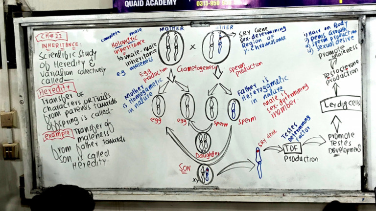 PDFReader 20250710 2211 | PDF