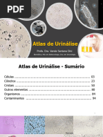 Atlas URINALISE | PDF