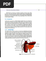 Cockroach Ncert | PDF