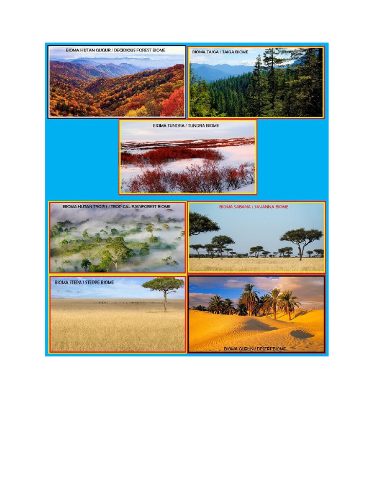 Bioma | PDF