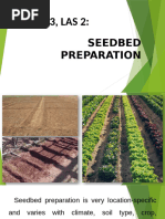 Types of Seed Beds in Agriculture | PDF | Seed | Soil