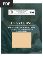 Plan Comptable Sycebnl | PDF | Obligation (Finance) | Banques