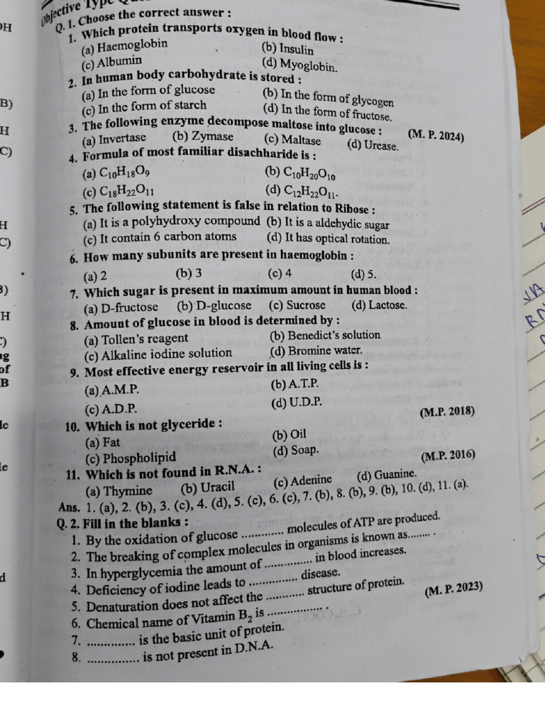 All PDF Reader 20241122 07.01.50 | PDF