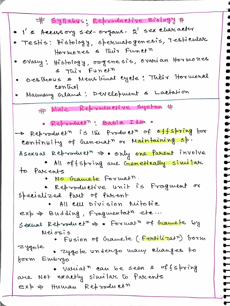 Reproductive Bio Part 01 Male System | PDF