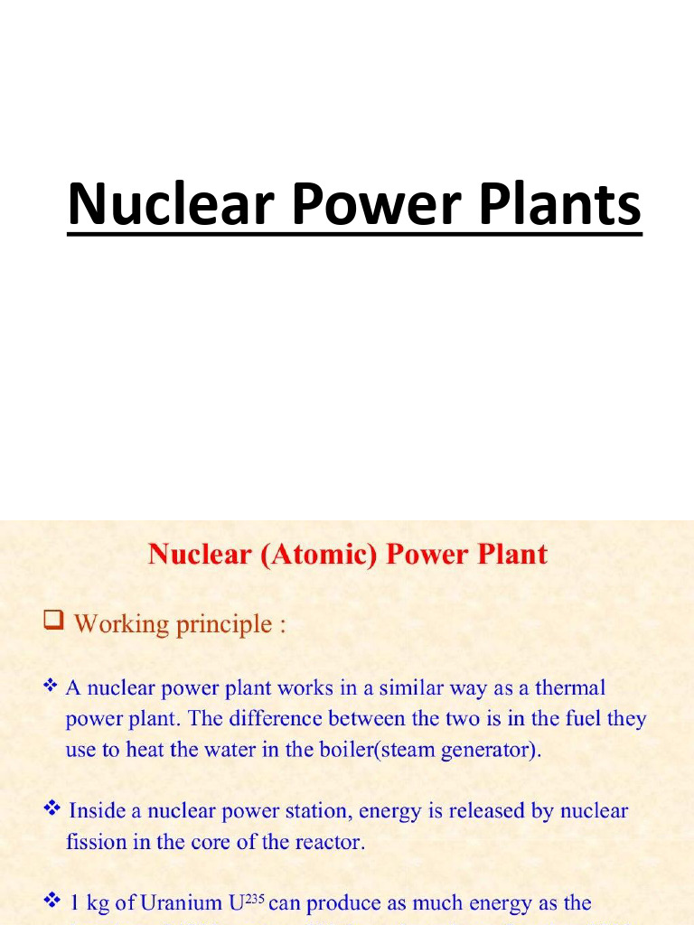 Nuclear Power Plant | PDF