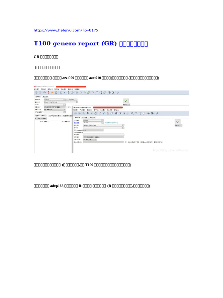T100 genero report (GR) 凭证报表开发流程 | PDF