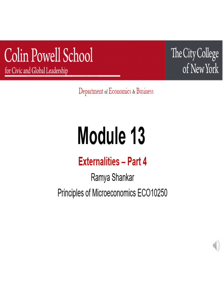 Module 13-Externalities Part 4 | PDF | Externality | Economics