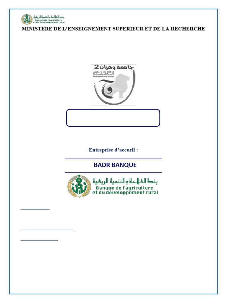 Rapport de stage sur la BADR 2024/2025 | PDF | Banques | Crédit