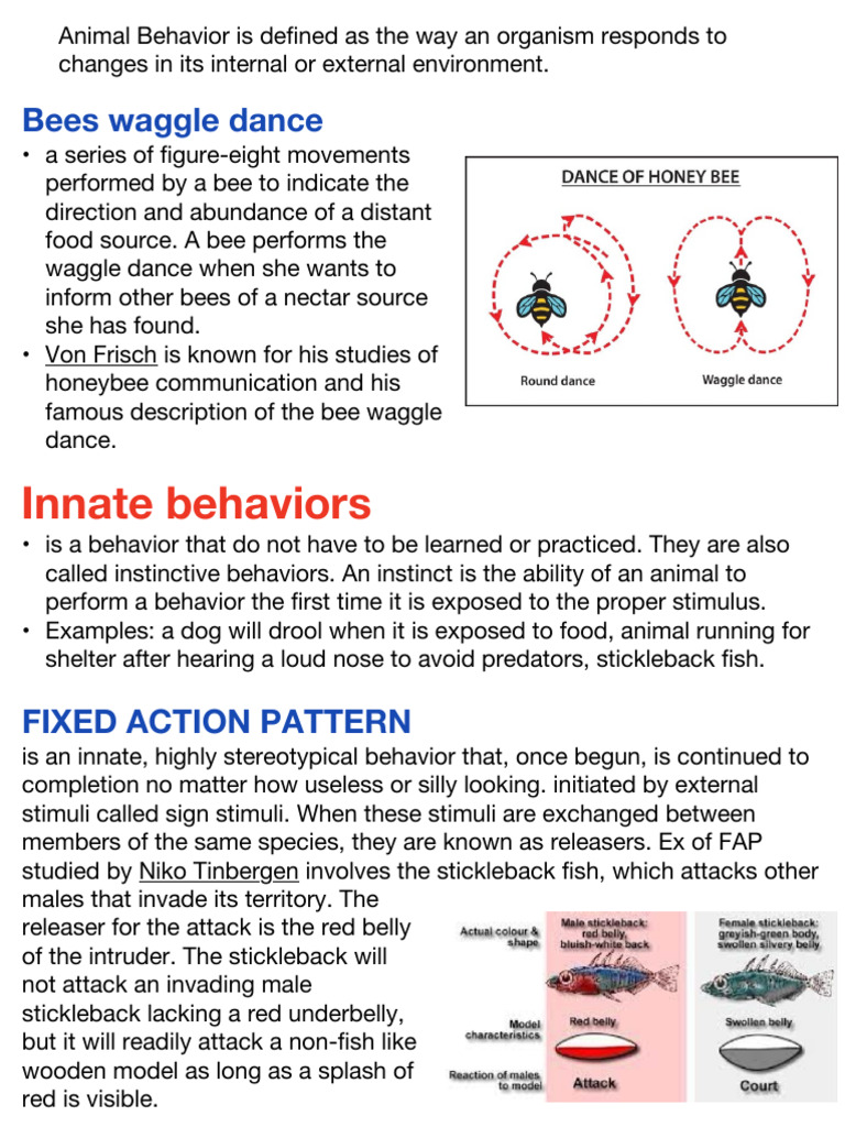 Understanding Animal Behavior Basics | PDF | Ethology | Classical ...