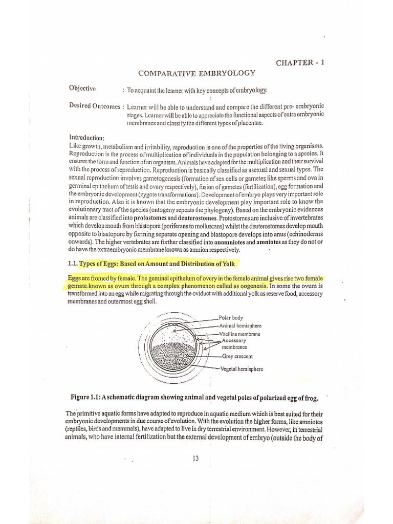 Unit 1 Embryology | PDF