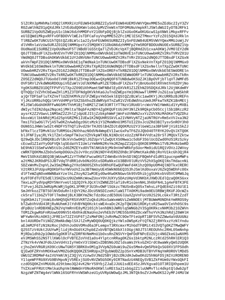 Muhammad Nauman Akhter-1 | PDF