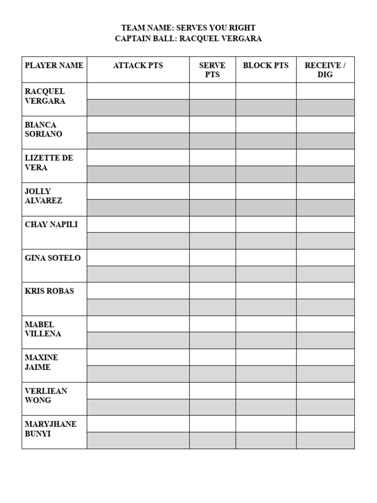 Players Stat Sheet | PDF